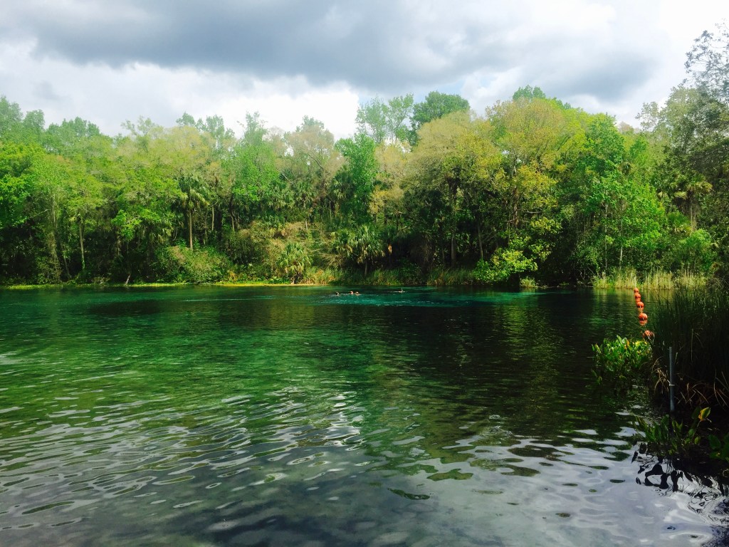 Starting Spring at Florida’s Alexander Springs – The Bohemian Mermaid